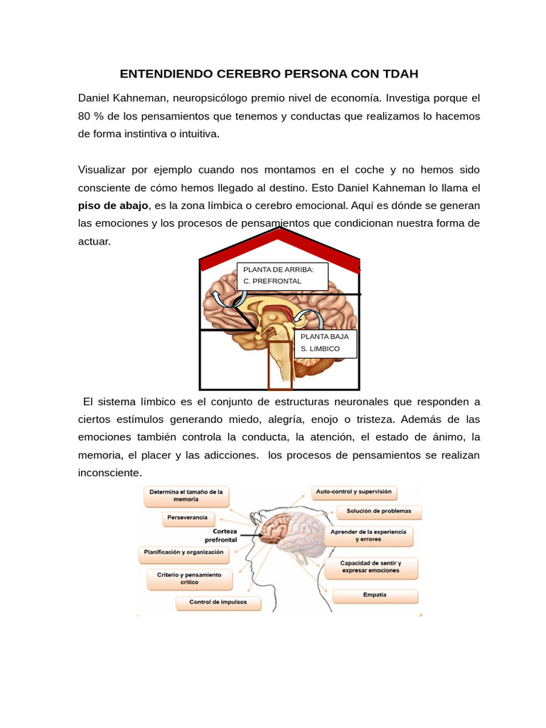 Entendiendo Cerebro Tdah | PDF