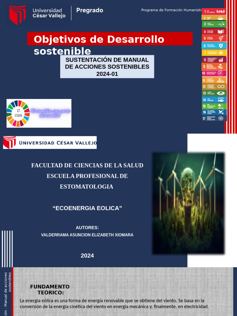 Diapositivas de Sustentación Final - ODS | PDF