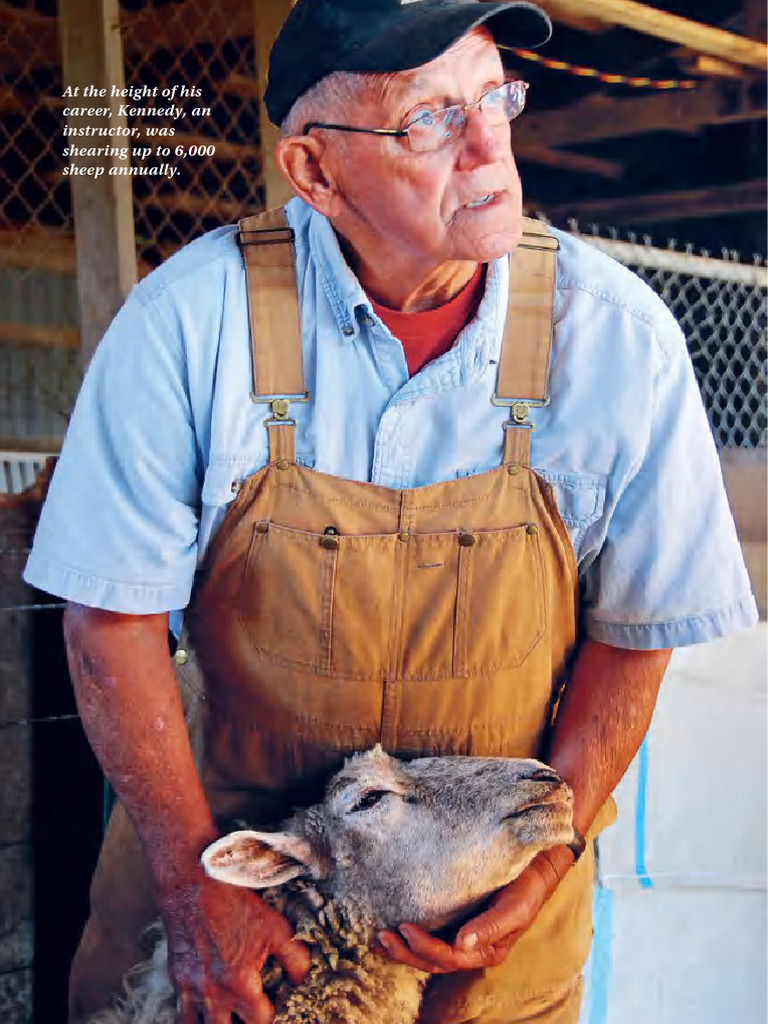 Shear Genius - Reader's Digest | PDF