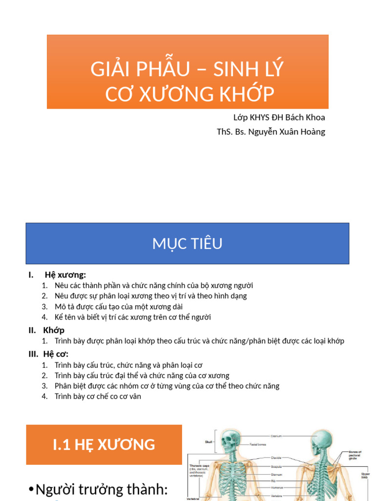 GP-SL Cơ Xương KH P | PDF