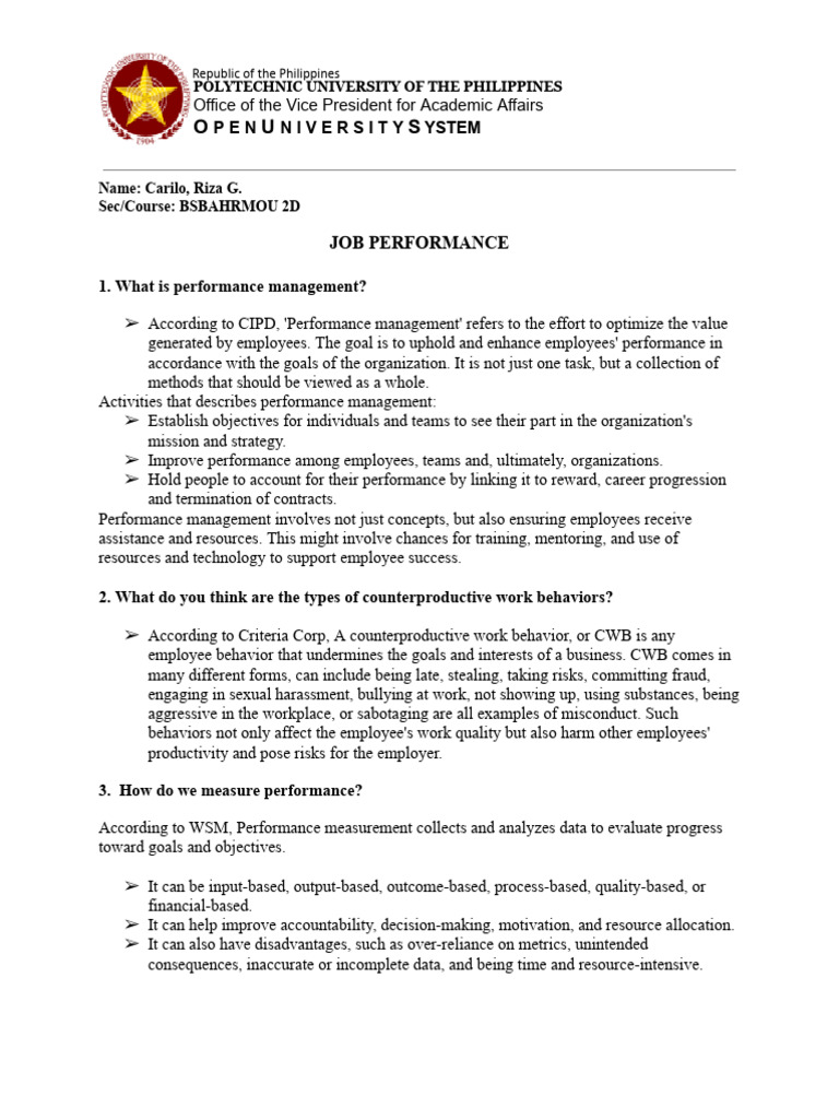 Job Performance | PDF