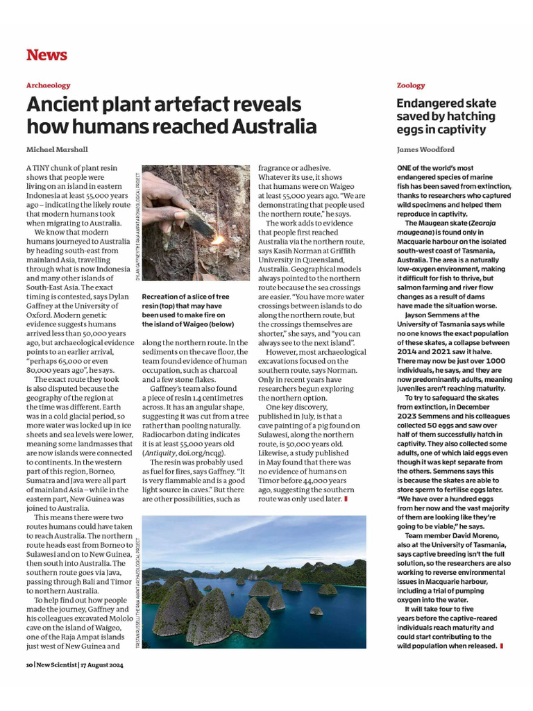 ARTICLE @reading - Marafonn | PDF