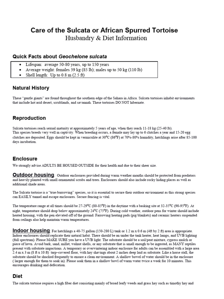Care Sheet Sulcata or African Spurred Tortoise | PDF
