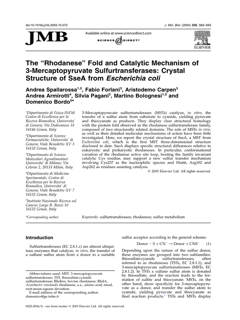 SseA Structure and Mechanism in MSTs | PDF | Active Site | Protein ...
