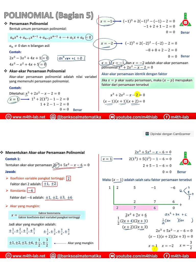 Teorema Vieta Dan Descartes | PDF