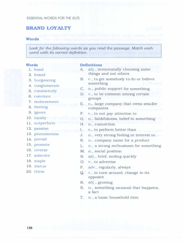 20 Brand Loyalty | PDF