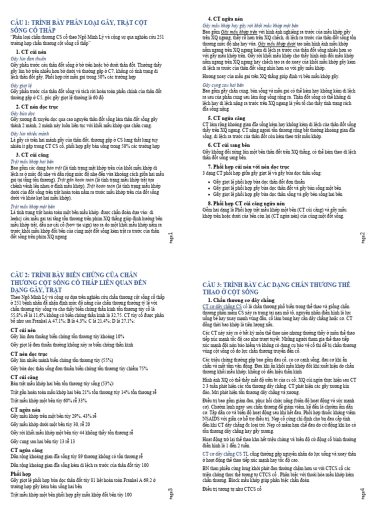 FILE - 20220411 - 222131 - PHAO cc4 | PDF