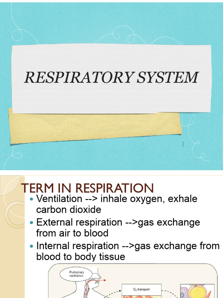 Respiratory | PDF
