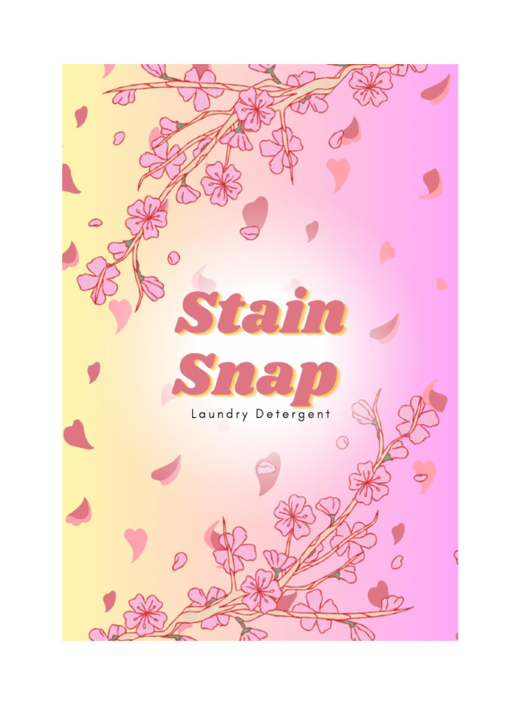 Stain Snap | PDF