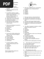 REMEDIAL BIOLOGY 2nd Semester QUESTIONS | PDF | Dominance (Genetics ...