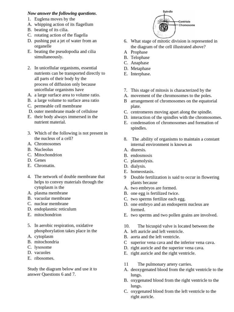 Biology Questions | PDF