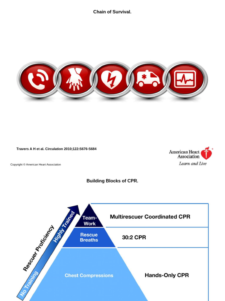 2010 AHA Guidelines For CPR | PDF