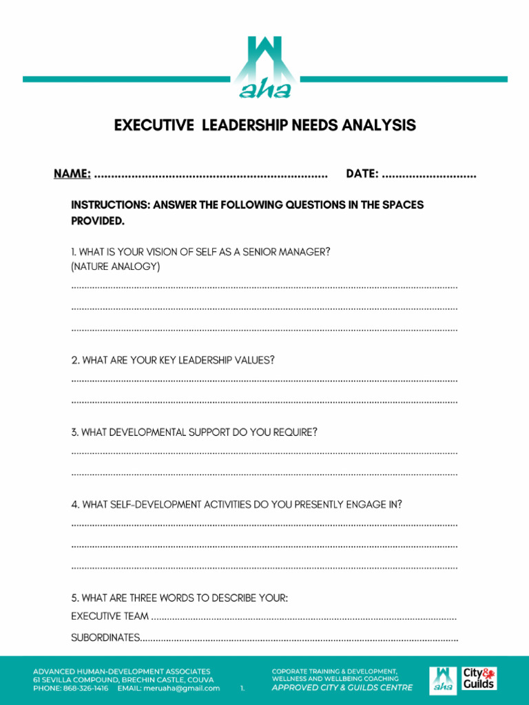 Executive Leadership Needs Analysis | PDF