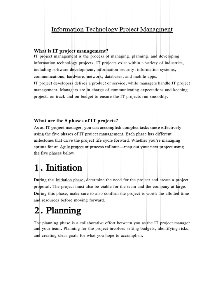 IT Project Manager | PDF