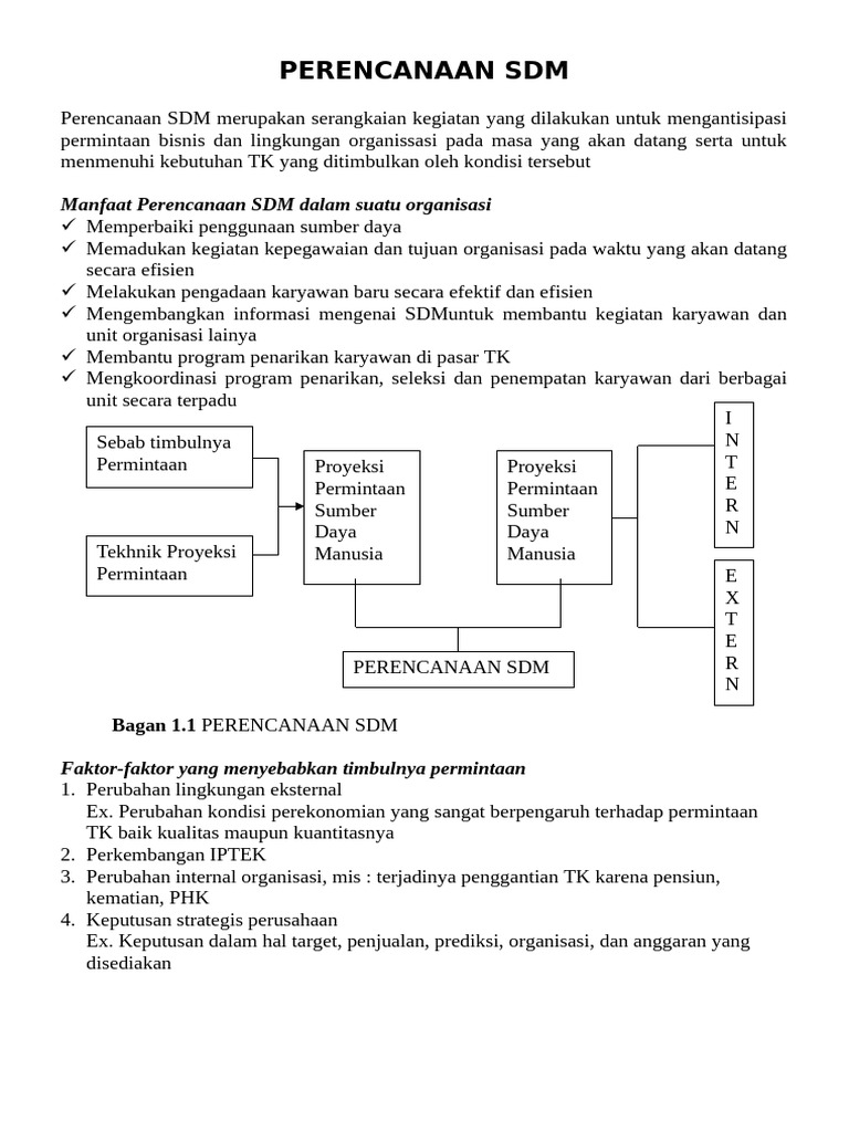 Perencanaan SDM | PDF