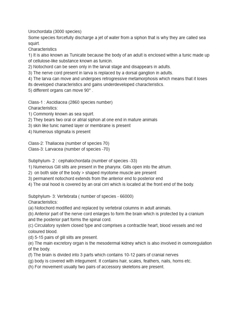 Chordata Classifications | PDF
