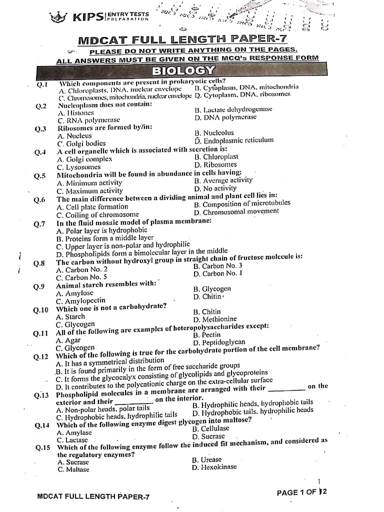 7 FLP 1 KIPS 2023 - Key | PDF