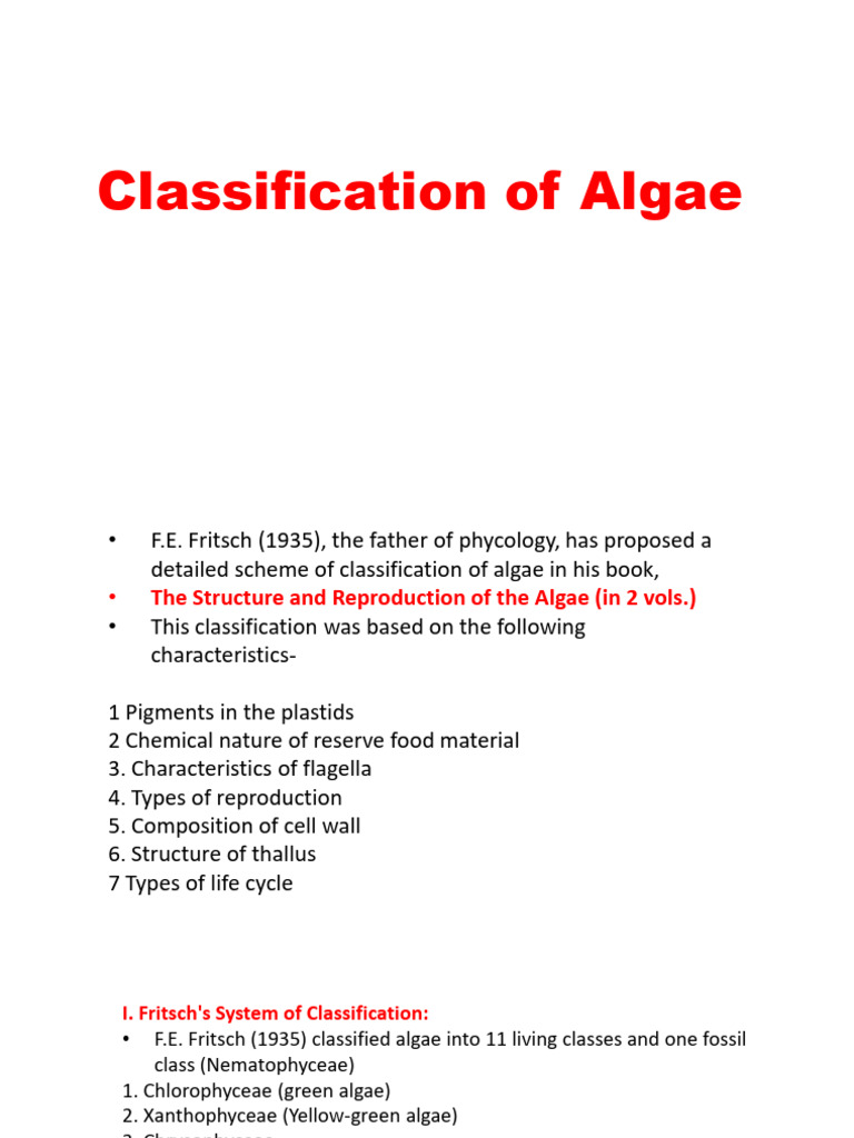 Classification of Algae | PDF