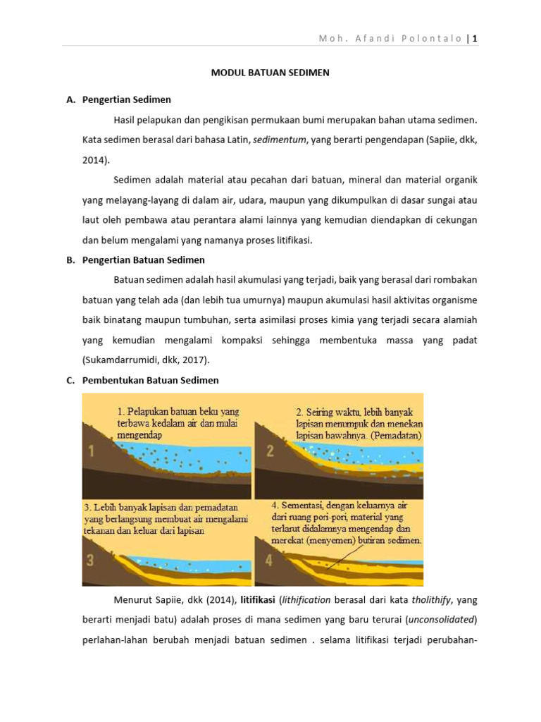 Modul Petrologi Batuan Sedimen | PDF