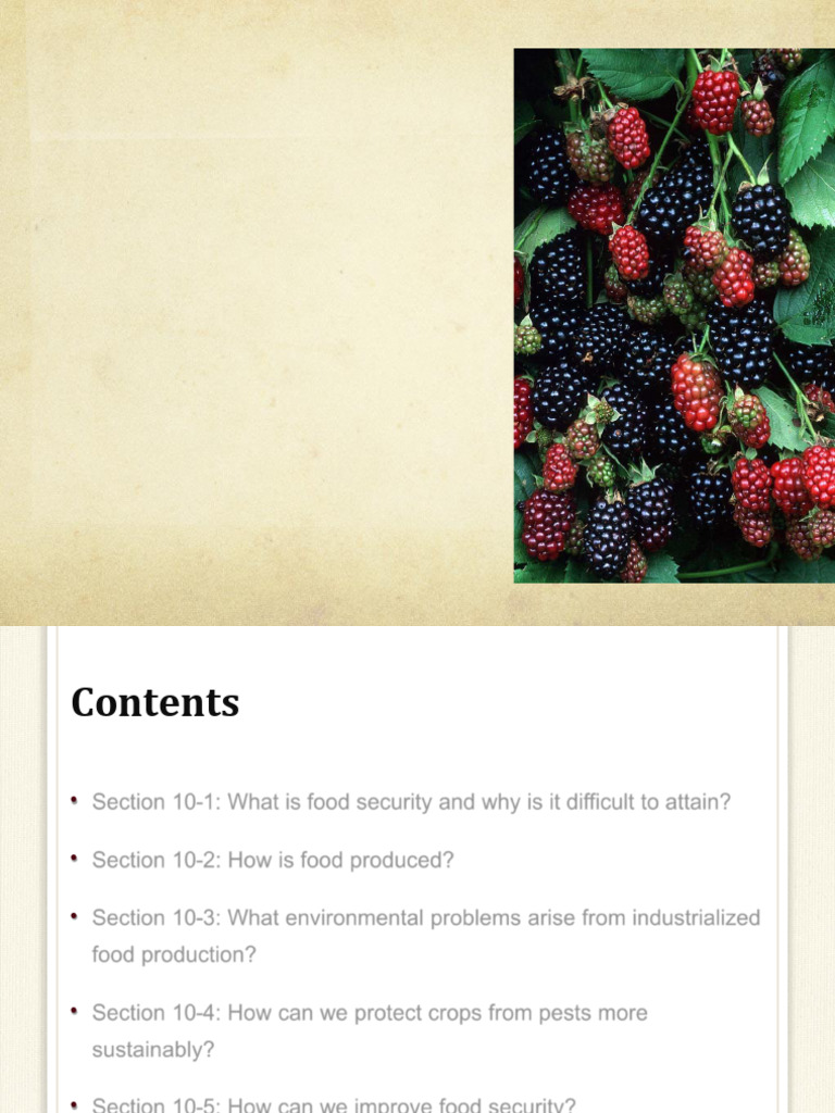 Lecture 5 - Food & Soil - hk2 - 2023 | PDF