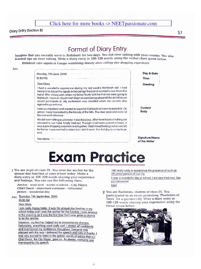 Diary Entry class 9 | PDF