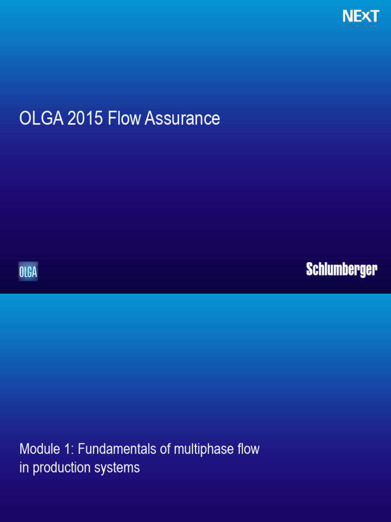 OLGA FA 1b - Fundamentals of Multiphase Flow in Production Systems | PDF