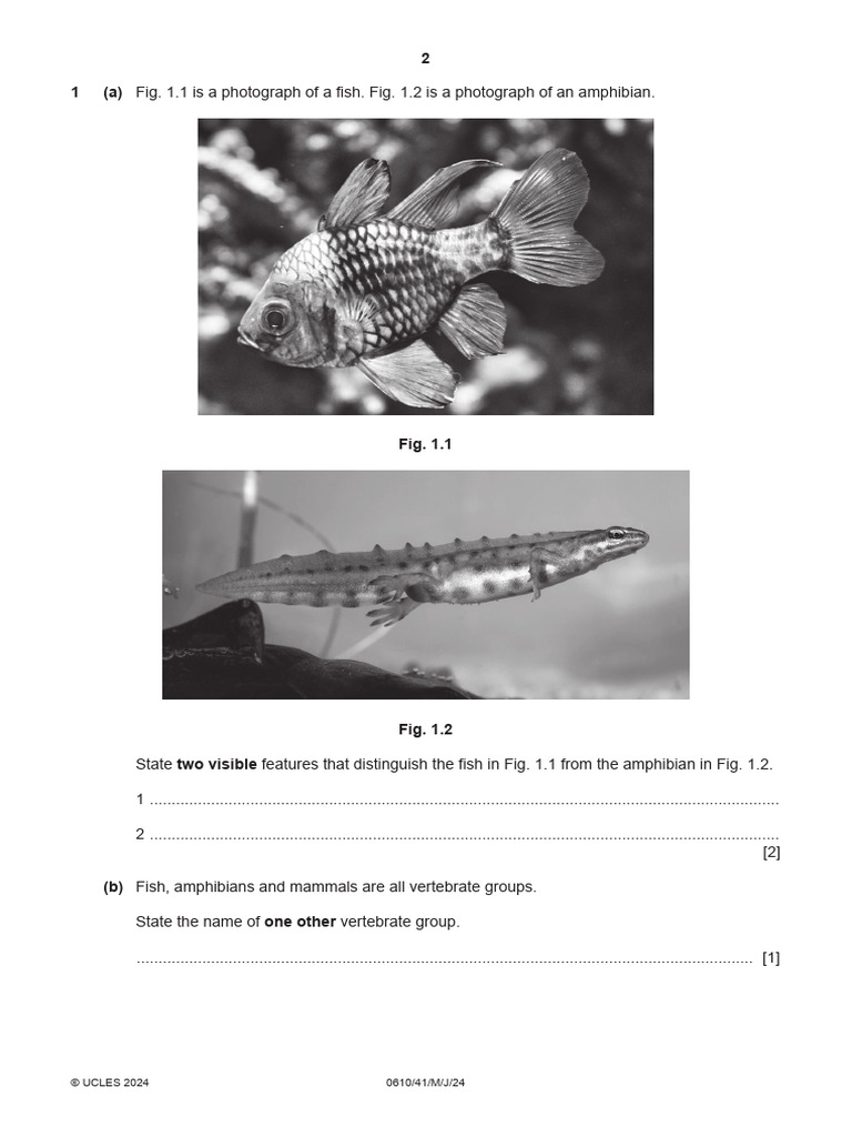 0610/41/M/J/24 © Ucles 2024 | PDF