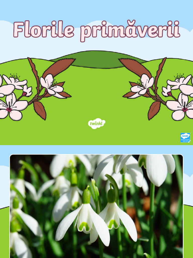 T T 2545797 Flori de Primavara Powerpoint | PDF
