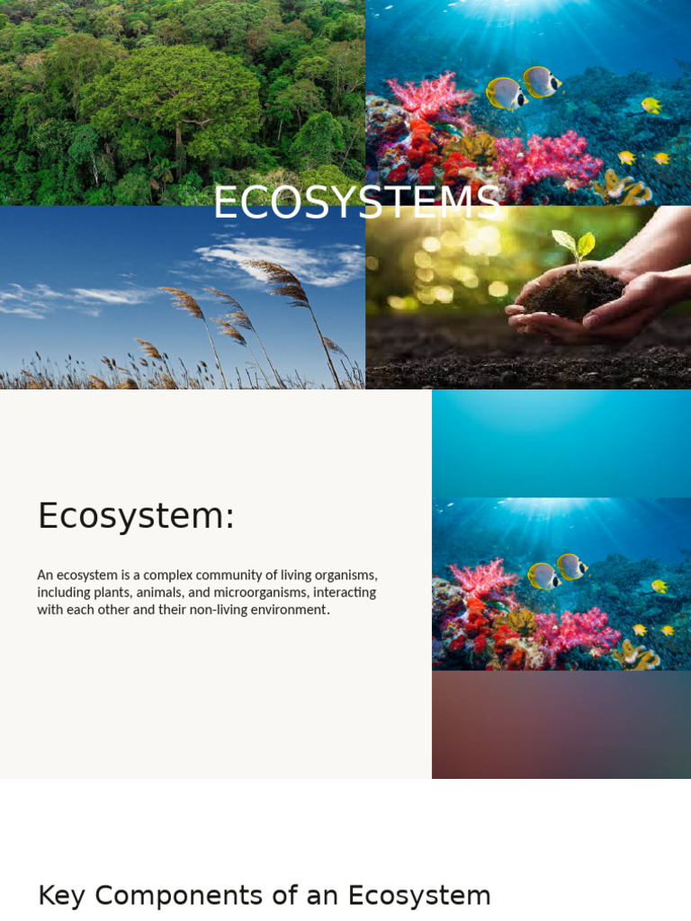 ECOSYSTEMS | PDF