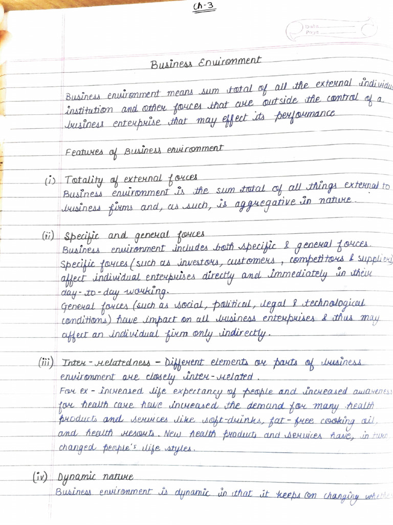 CH 3 Business Environment Notes | PDF
