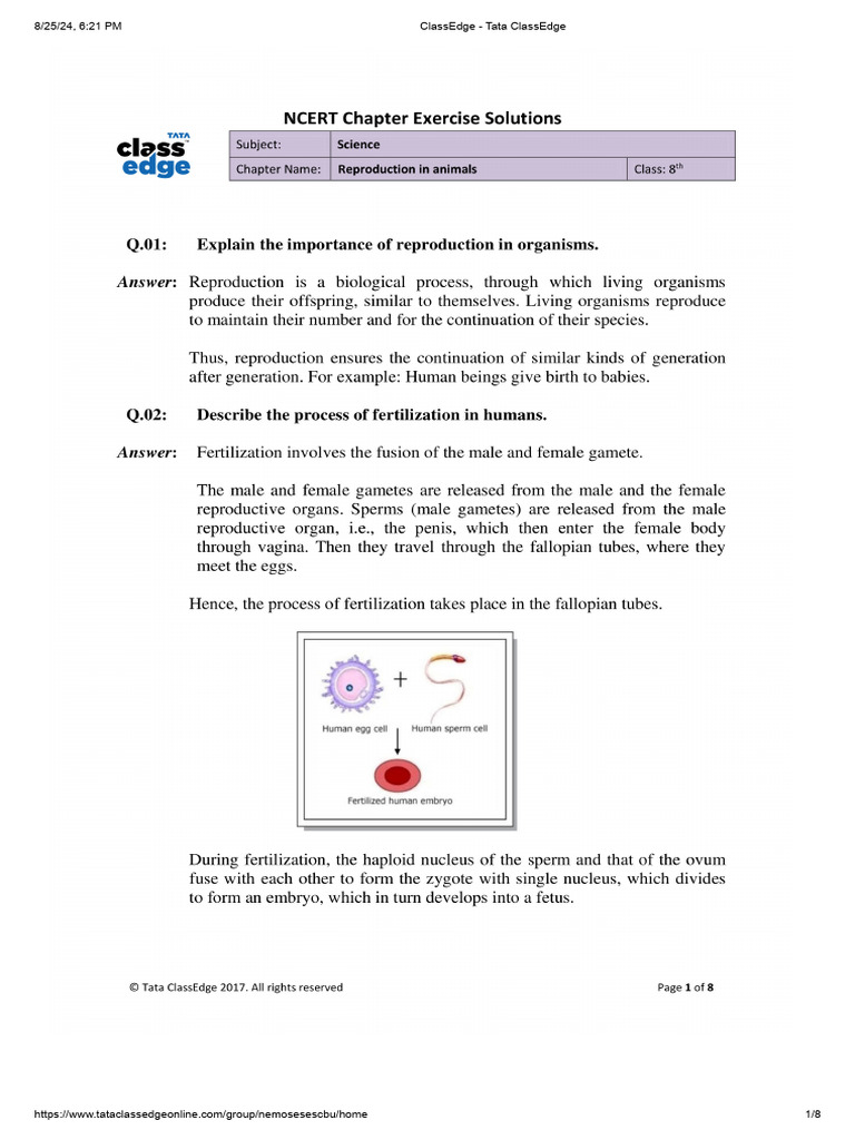 ClassEdge - Tata ClassEdge Class 8 | PDF