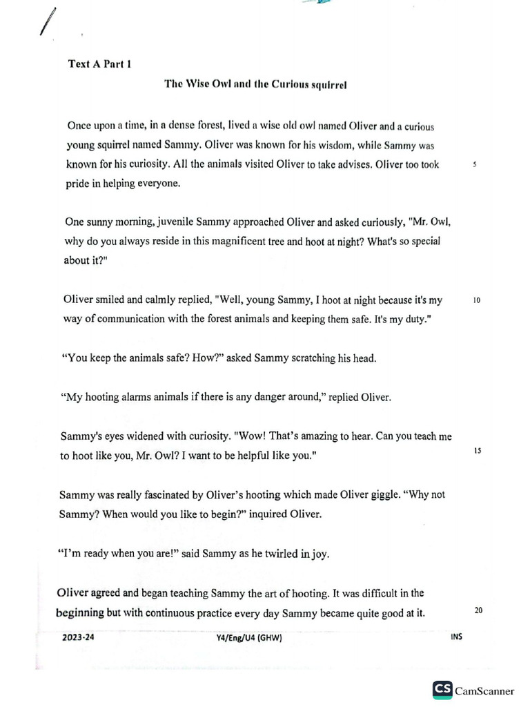 Y4 English Sheets | PDF