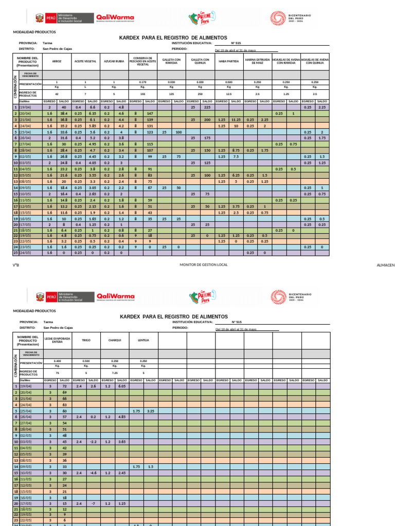 2da Entrega (IE 515) - Kardex | PDF