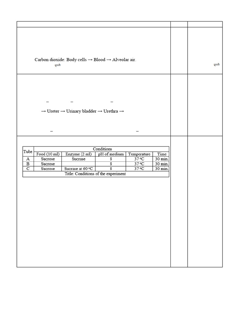 Biology BTT 2020 - Bareme | PDF
