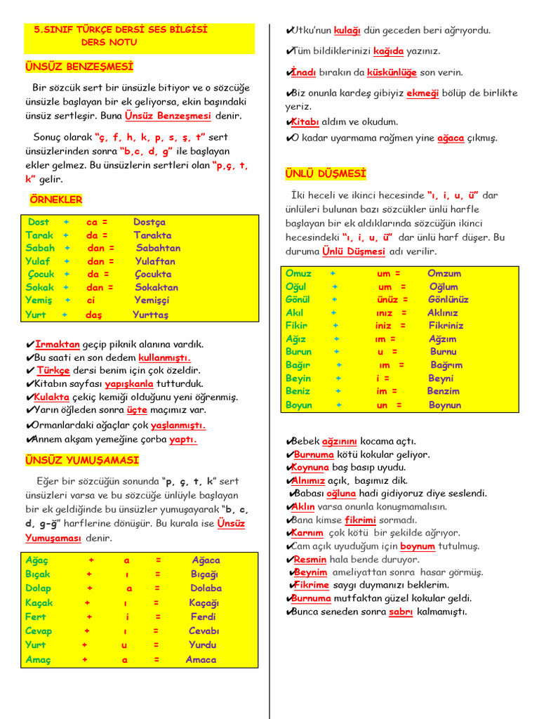Ses Olaylari Ders Notlari | PDF