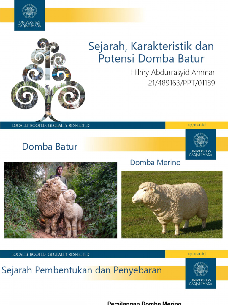 Domba Batur | PDF