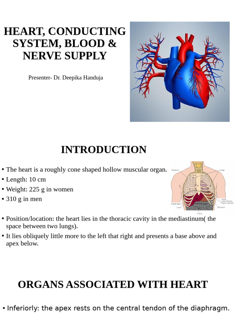 Anatomy & Physiology of Heart | PDF