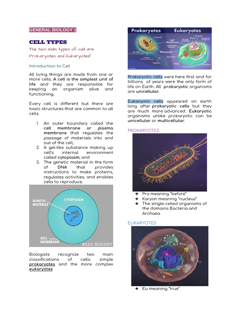 GenBio 1 Reviewer 1-2 | PDF