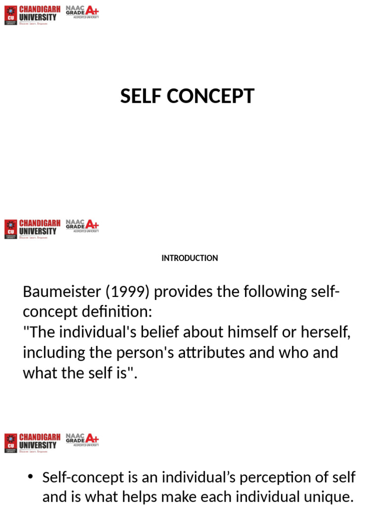Self Concept | PDF