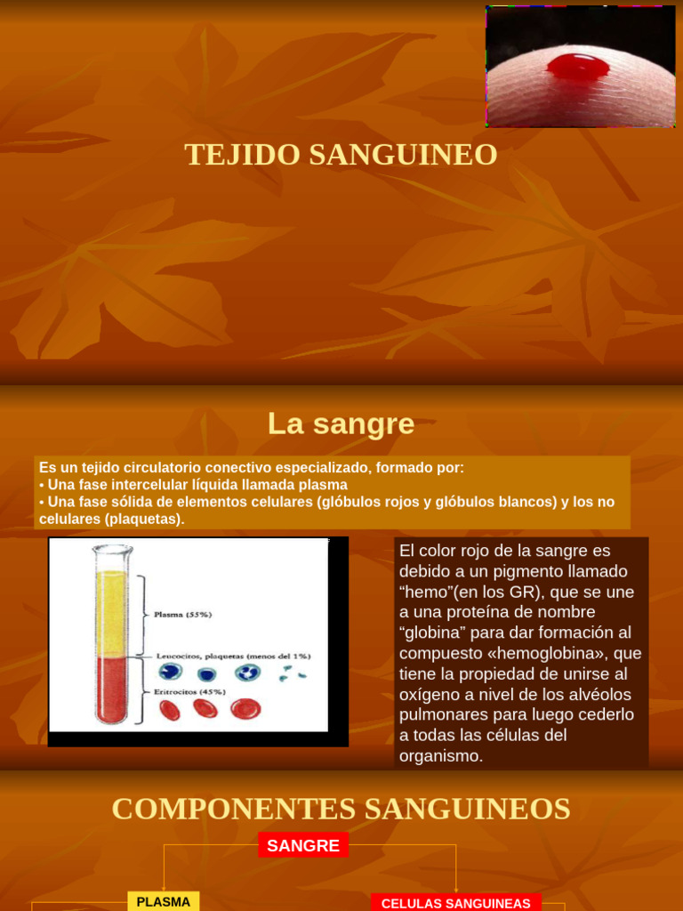 Tejido Sanguineo | PDF