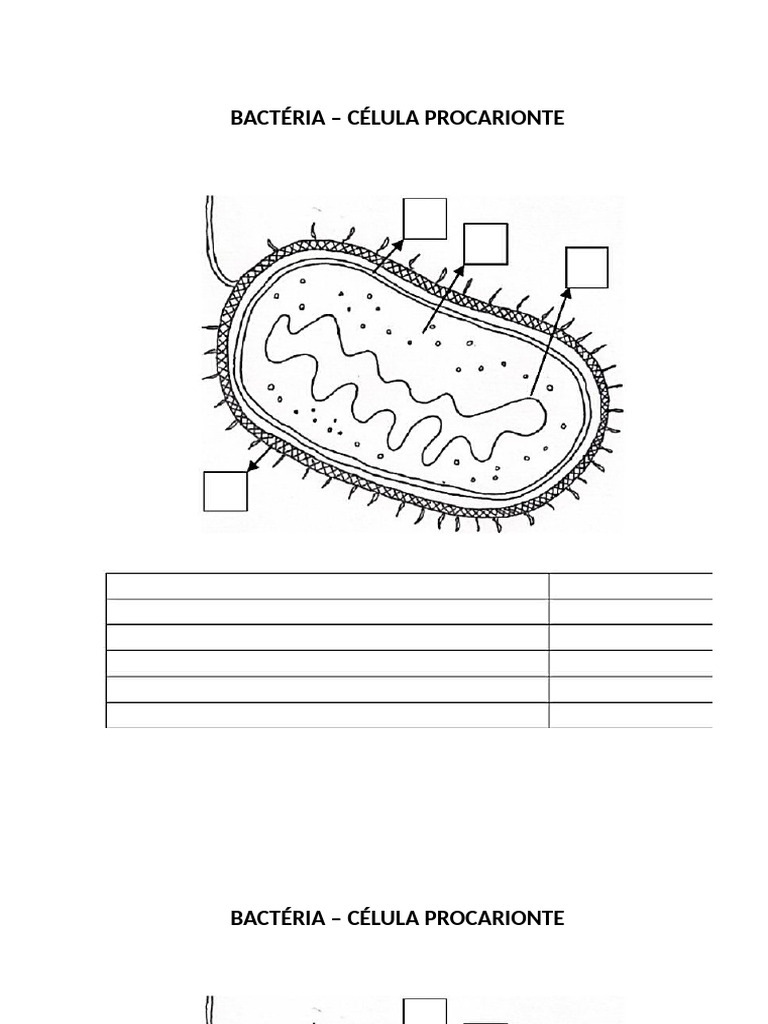 Dinamica para Eletiva | PDF