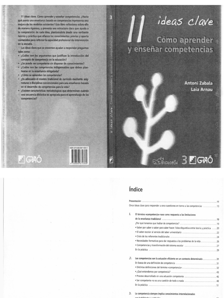 7.-11 Ideas Claves | PDF