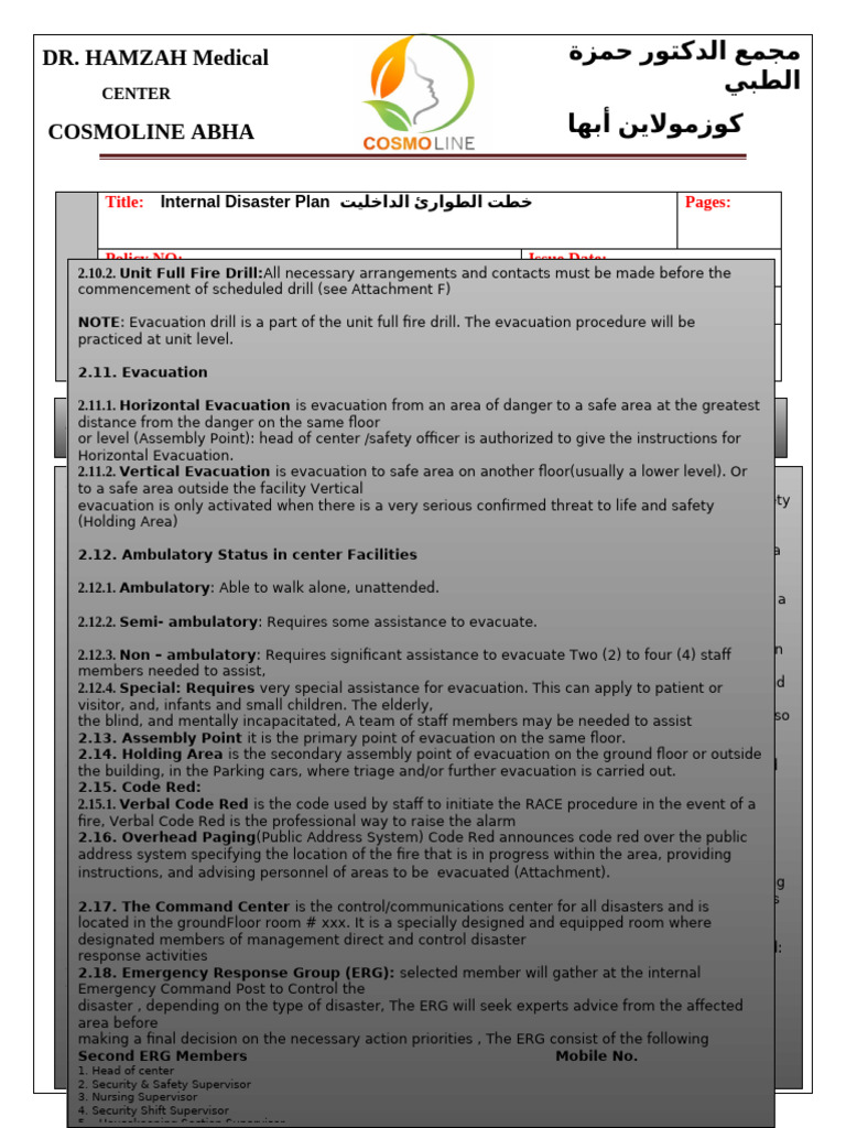 Internal Disaster Plan | PDF