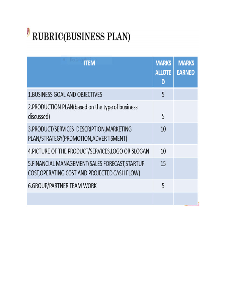 Rubric For Bussiness Plan | PDF