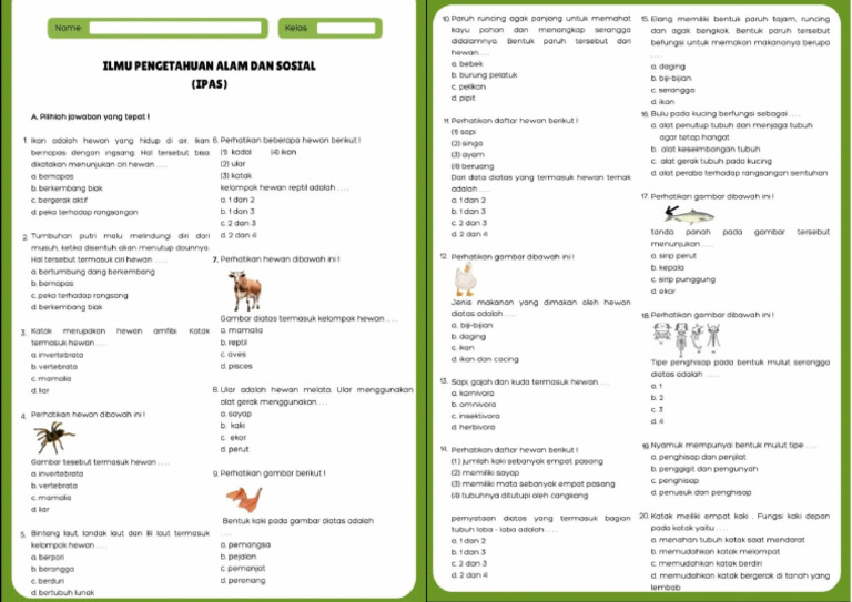 Contoh Soal Sumatif Hewan Invertebrata Ipas Kelas 3 | PDF