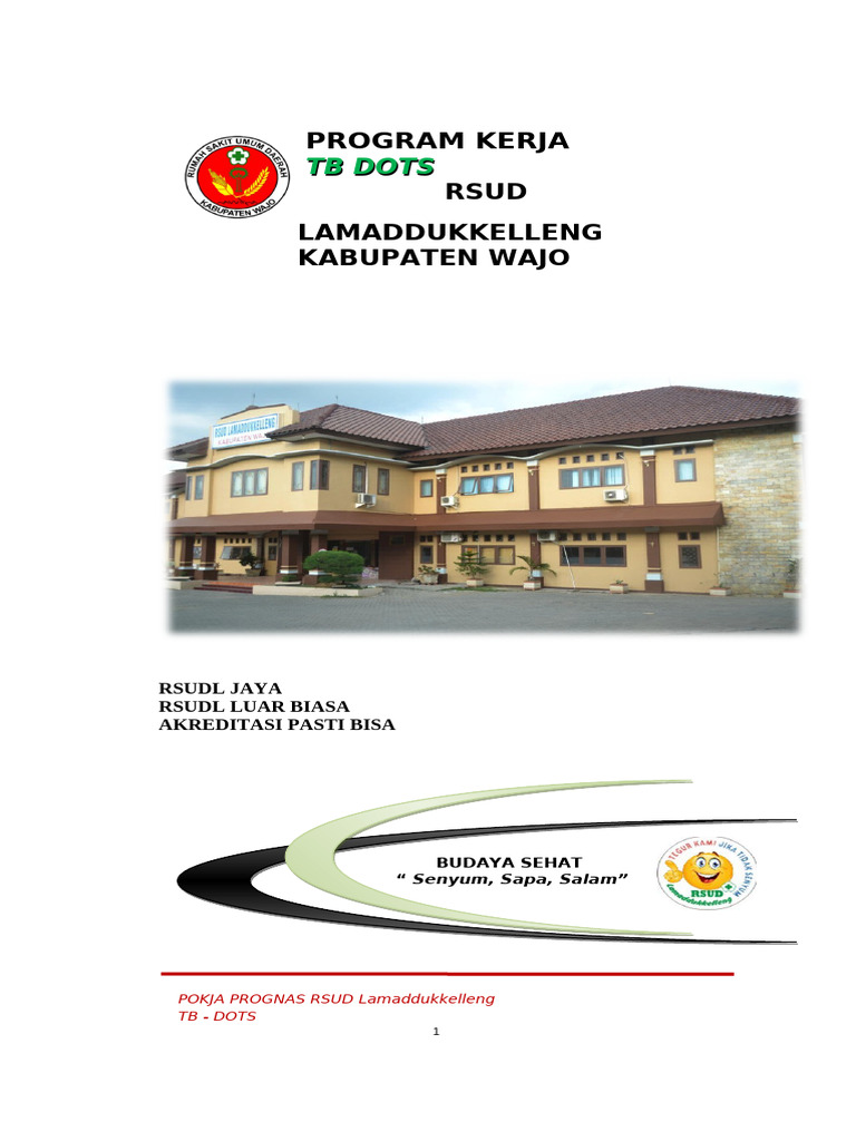 Program Kerja TB DOTS RSUD Lamaddukeleng | PDF