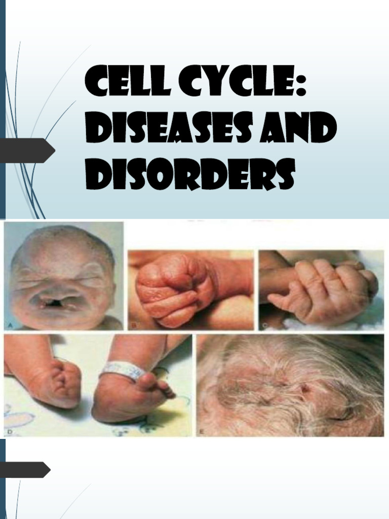 Genbio Day 12 Diseases and Disorder Cell Cycle | PDF