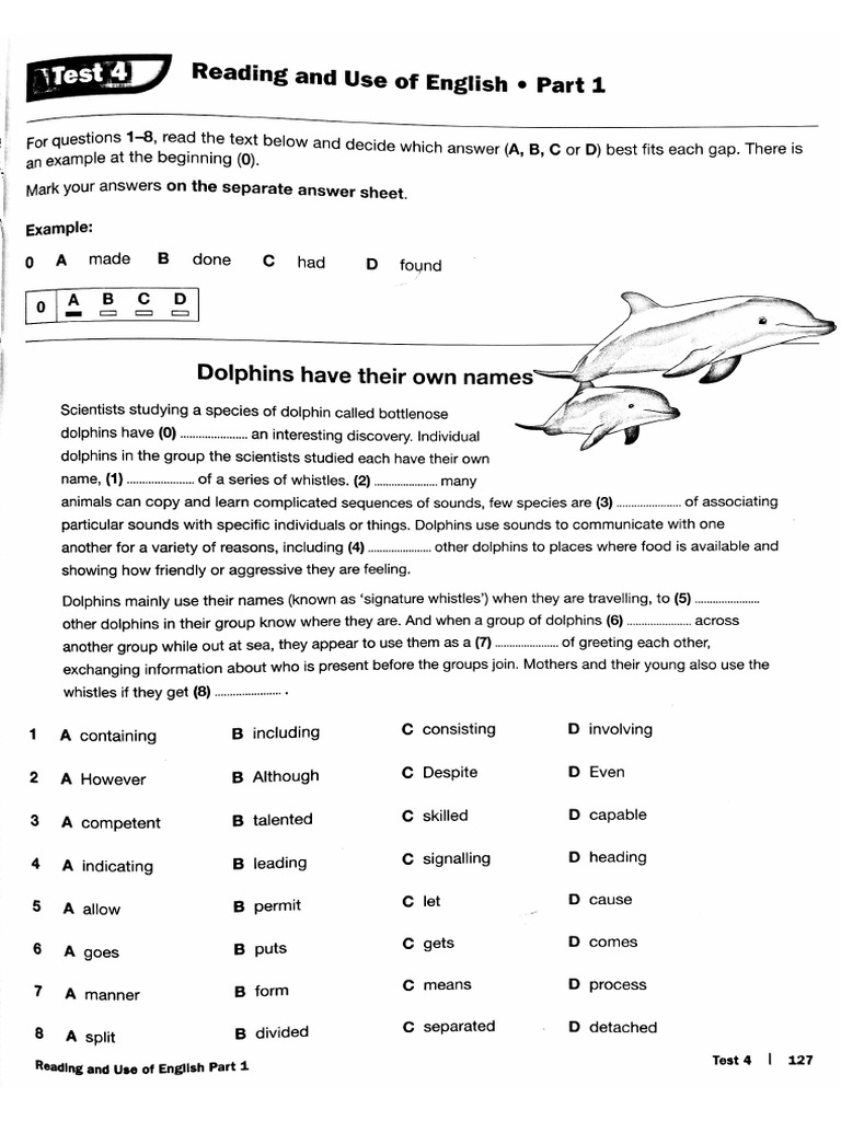 First For Schools Reading & Use of English Test 4 | PDF