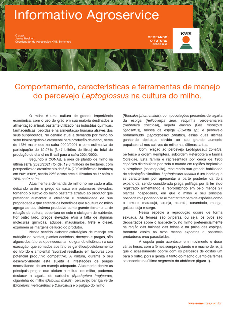 Kws Informativo Agroservice Percevejo Leptoglossus | PDF