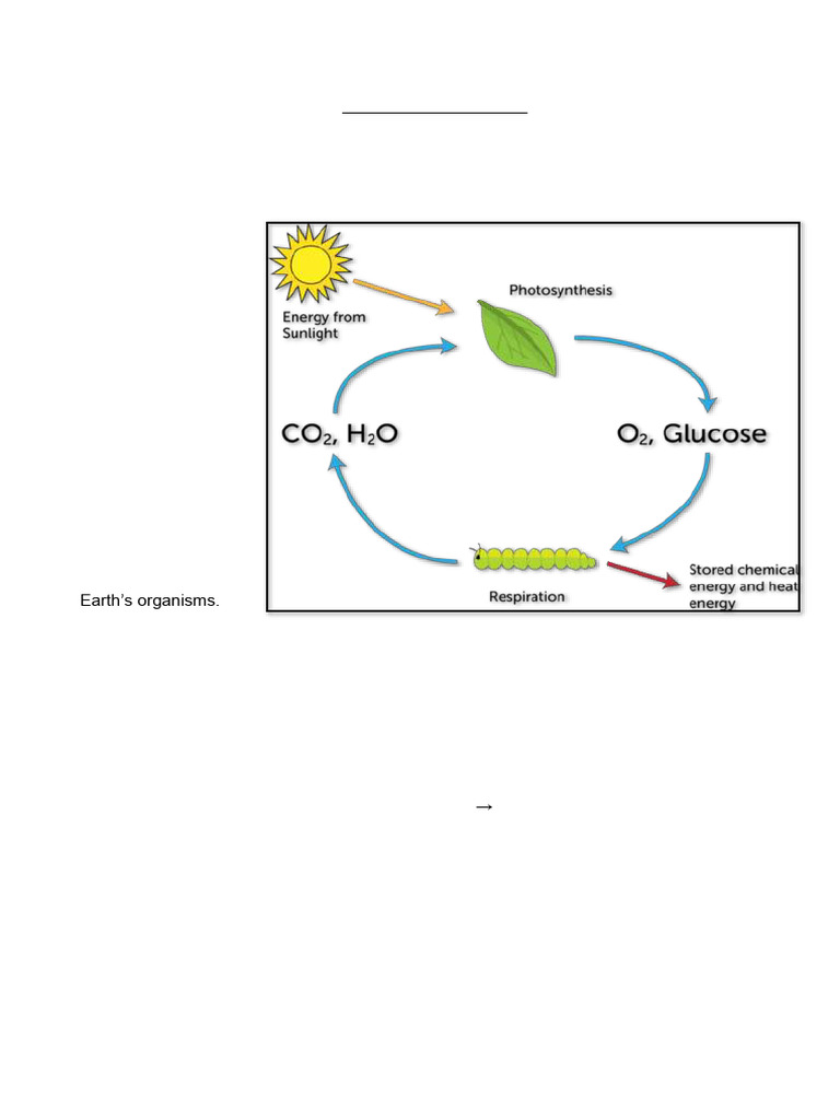 Biochemical Reactions | PDF